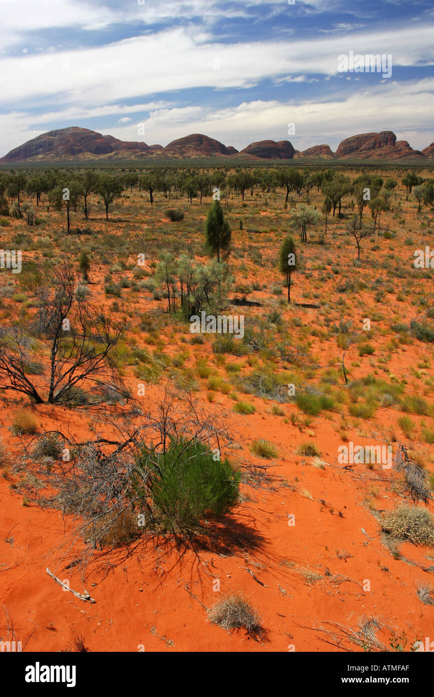 Tourist attraction the Olgas Kata Tjuta red sandstone dome rocks near ...