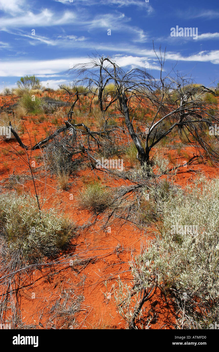 Iconic view of world famous outback desert near uluru ayers rock with ...