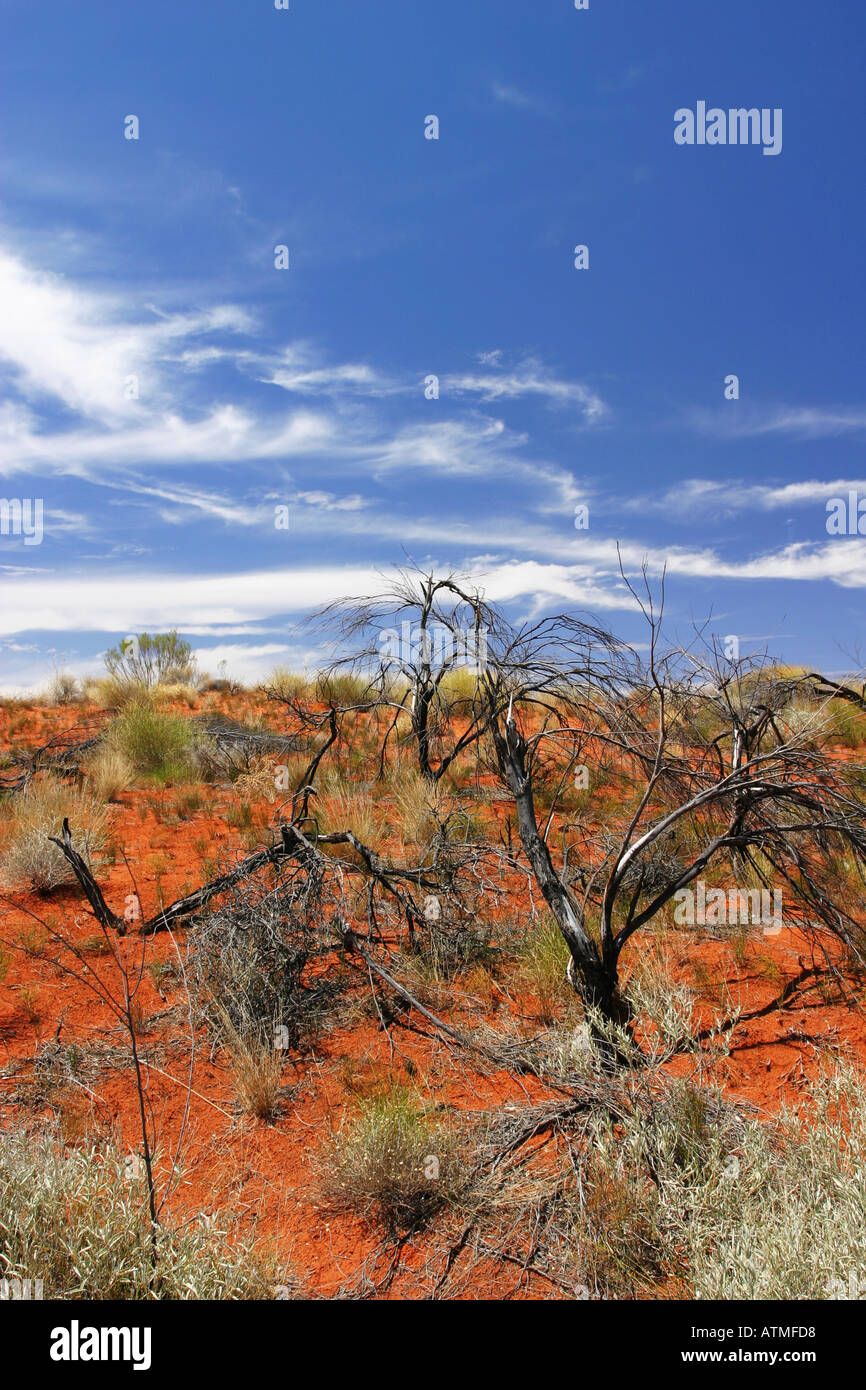 Evocative view of the arid hot extreme drought prone outback desert ...