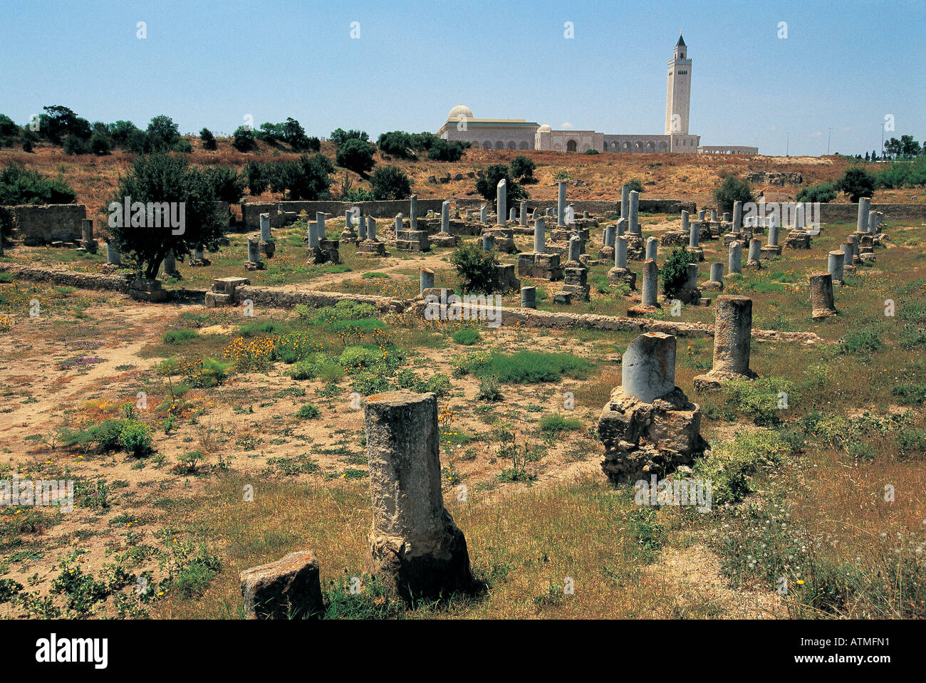Carthage hi-res stock photography and images - Alamy