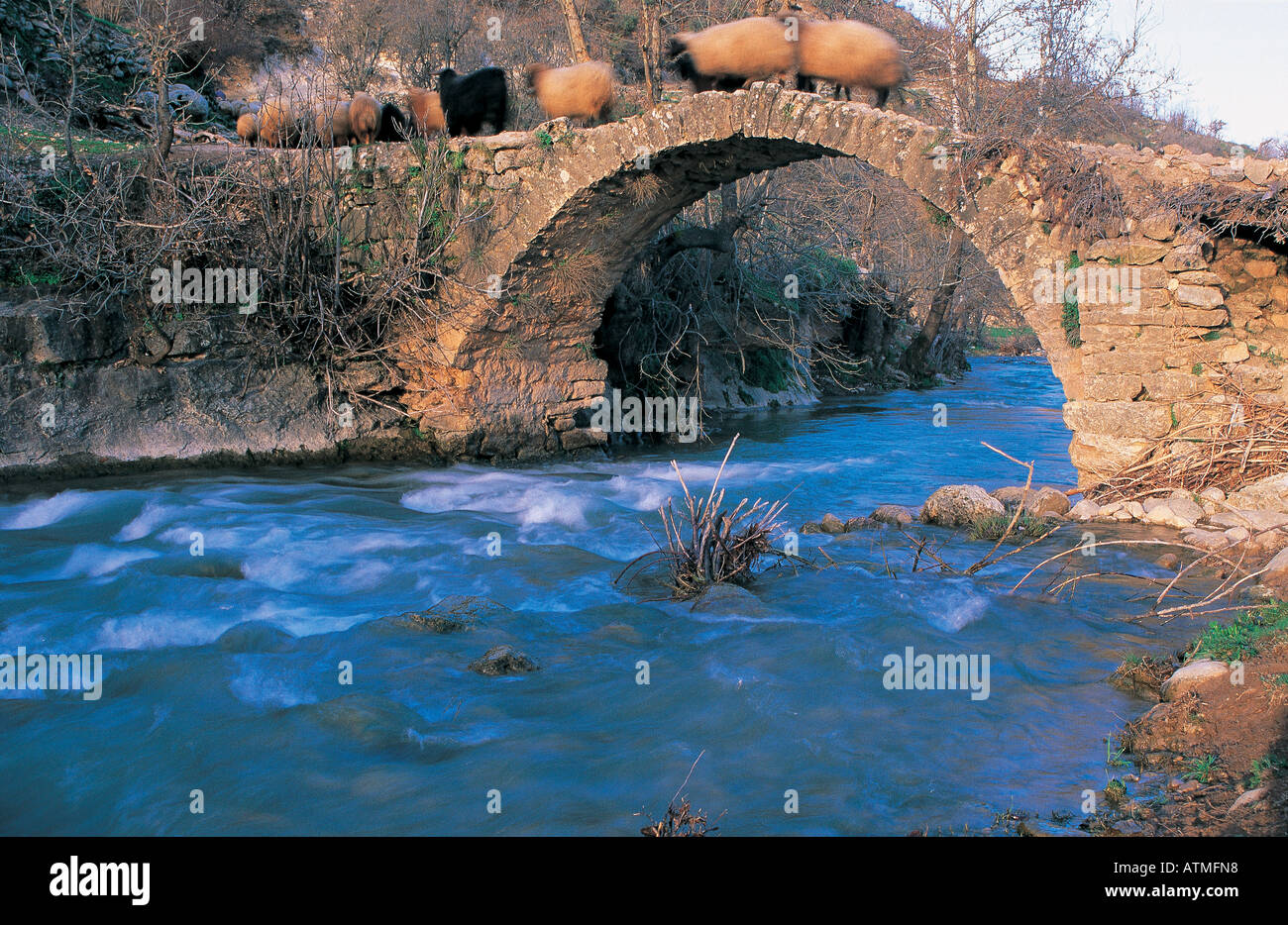 Historical stone bridge of Kavacik Village Eruh Siirt Stock Photo - Alamy