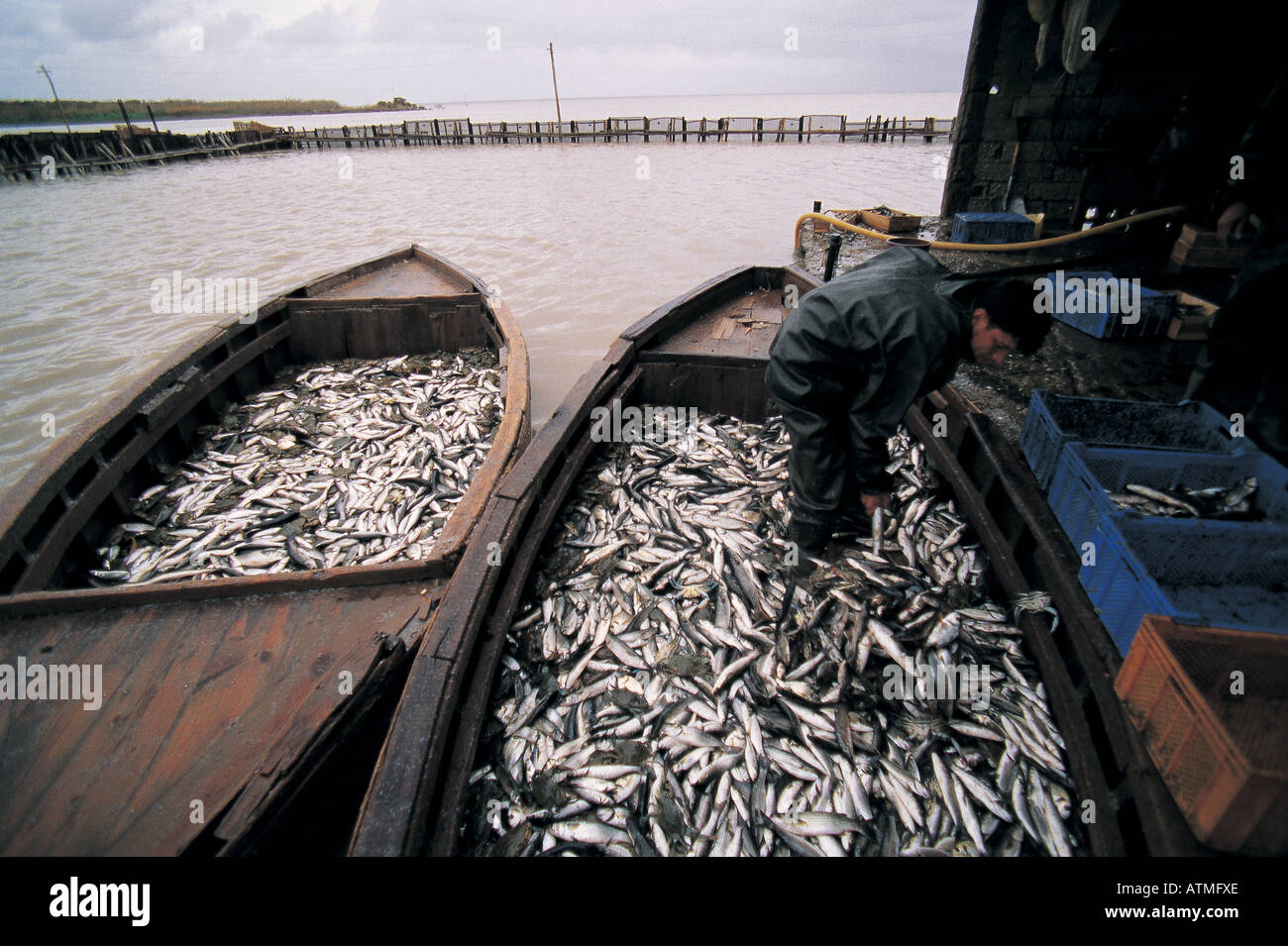 Bass traps hi-res stock photography and images - Alamy