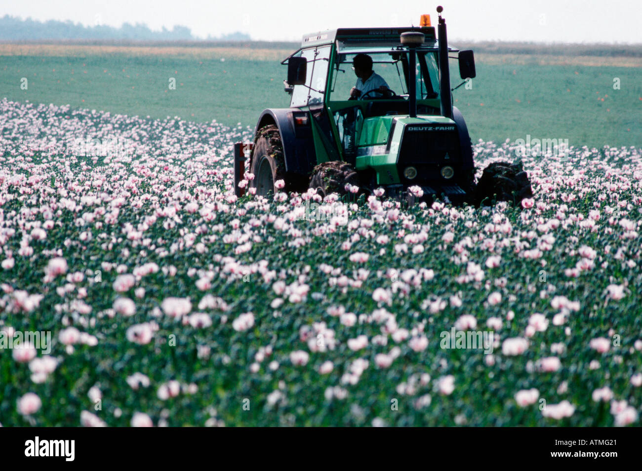 Opium in france hi-res stock photography and images - Alamy