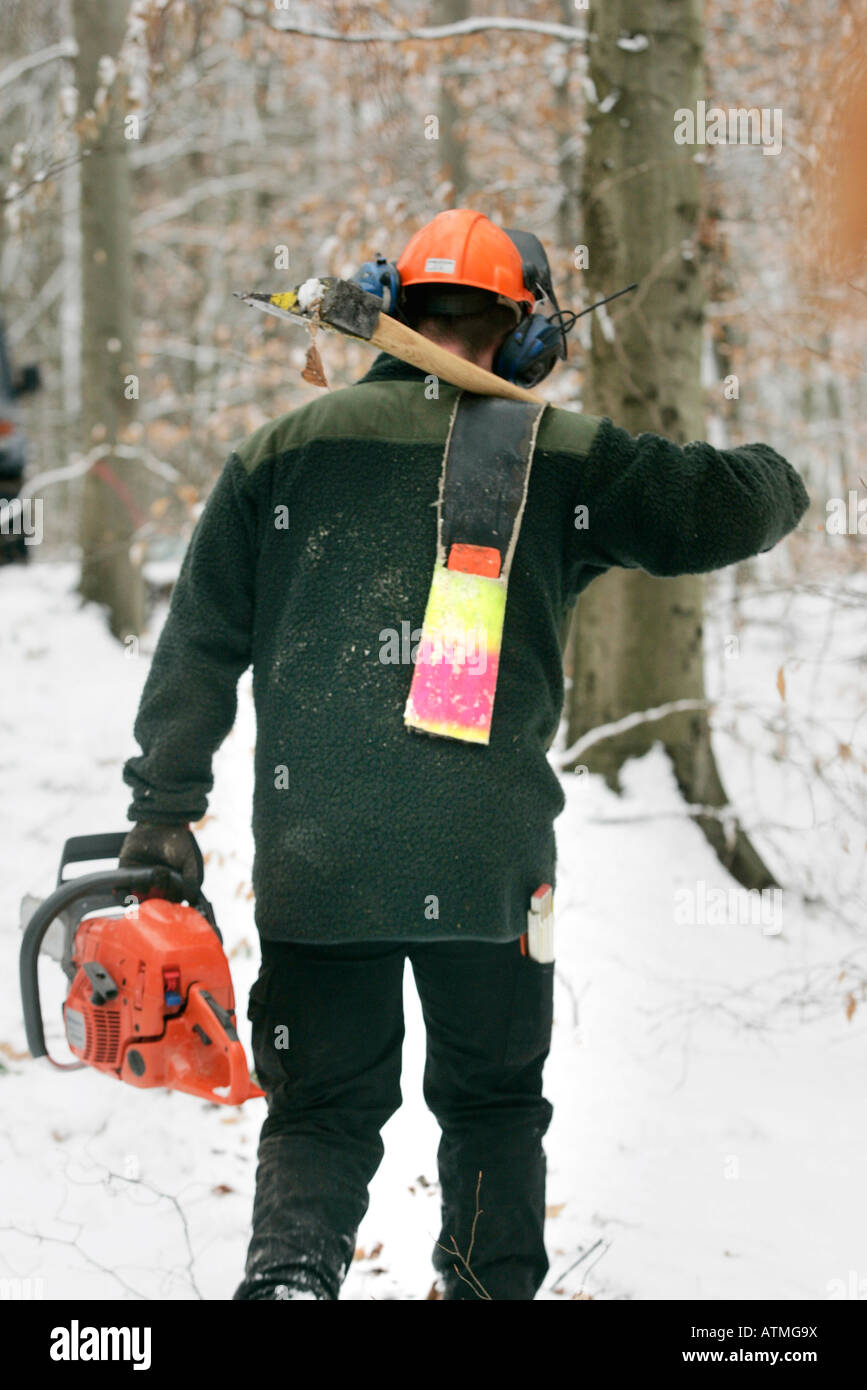 wood-cutter at work Stock Photo - Alamy
