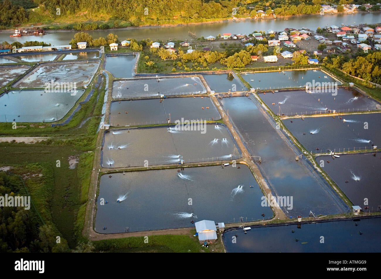 Shrimp ponds aerial hi-res stock photography and images - Alamy