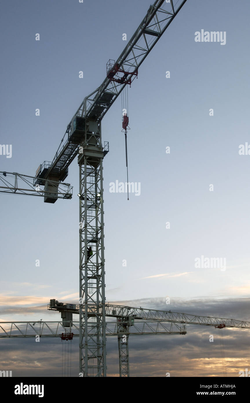Tower cranes over construction site against dawn sky Stock Photo - Alamy