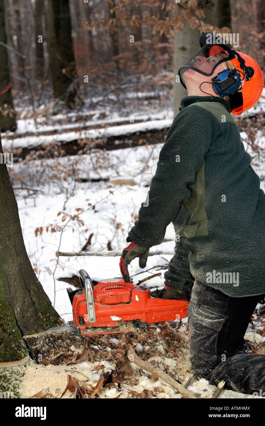 wood-cutter at work Stock Photo - Alamy