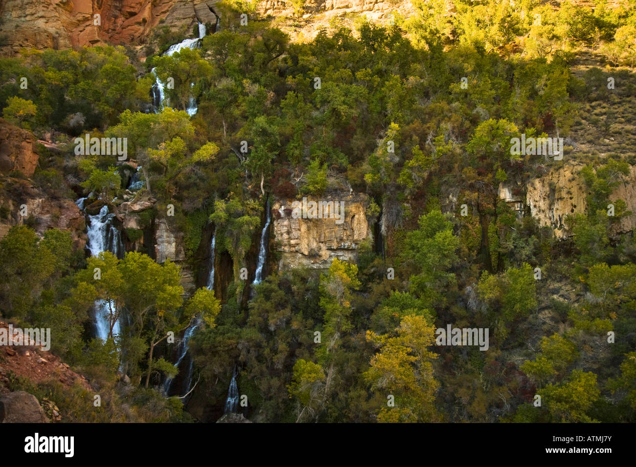 Thunder Mountain during autumn in Grand Canyon National Park Arizona ...