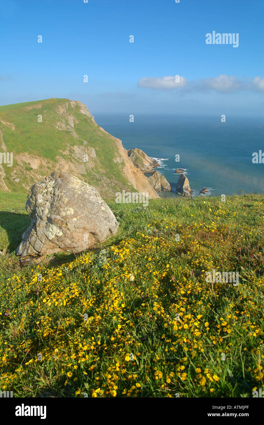 Point Reyes National Seashore California Stock Photo - Alamy