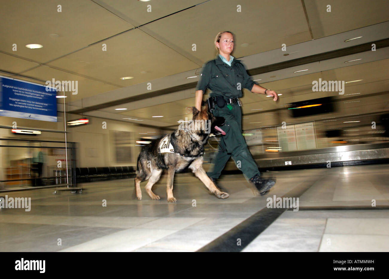Airport customs dog hi-res stock photography and images - Alamy