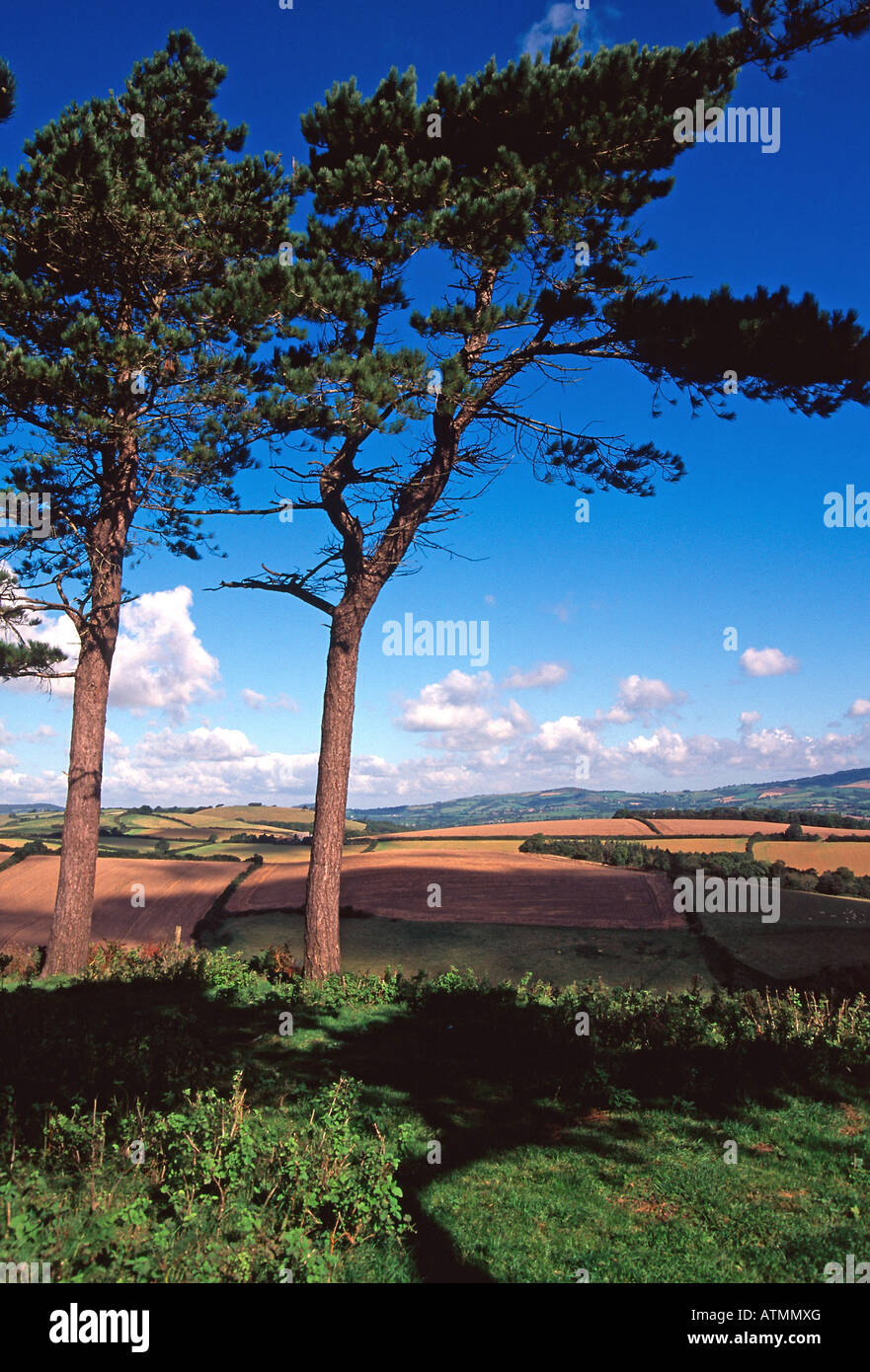 coppet hill viewpoint near north chideock dorset countryside england uk ...