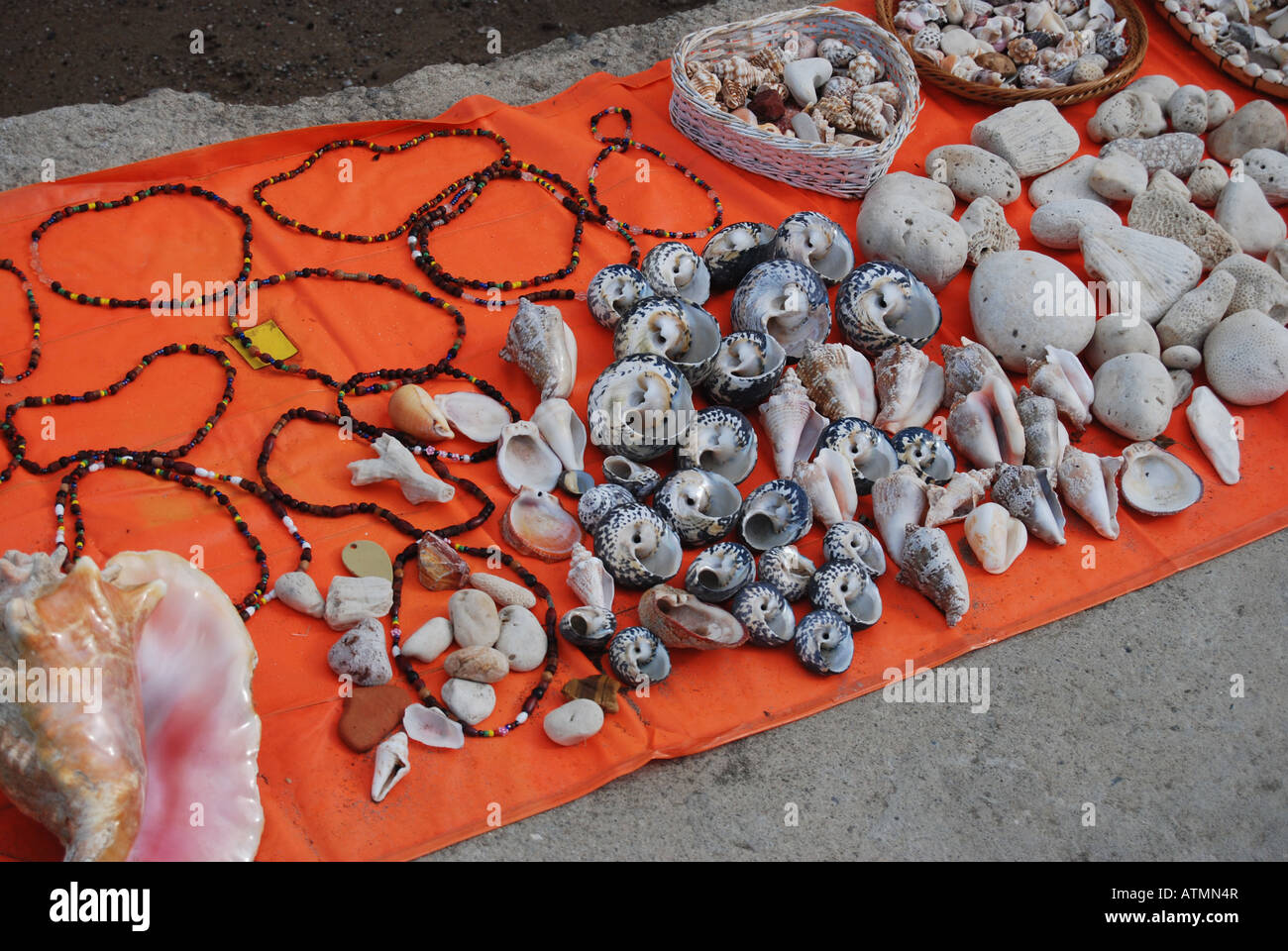 Shells for sale in a market, St Lucia, Caribbean Stock Photo - Alamy