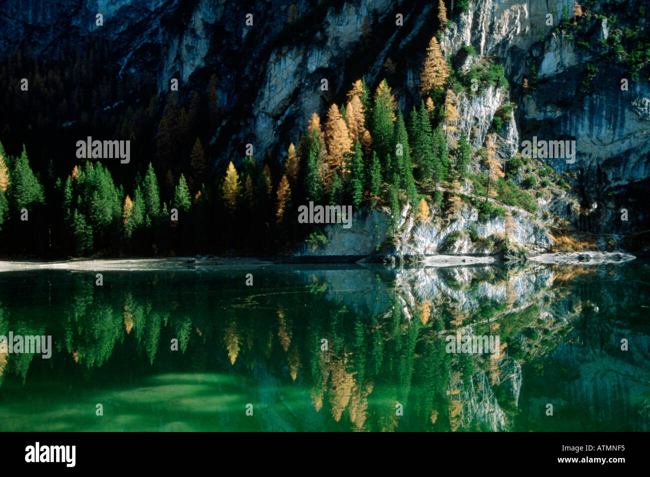 Lake / Pragser Wildsee Stock Photo - Alamy
