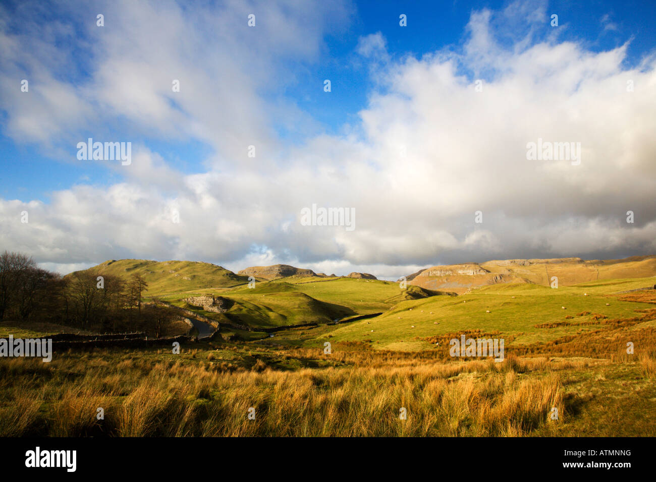 Attermire Scar Yorkshire Dales England Stock Photo - Alamy