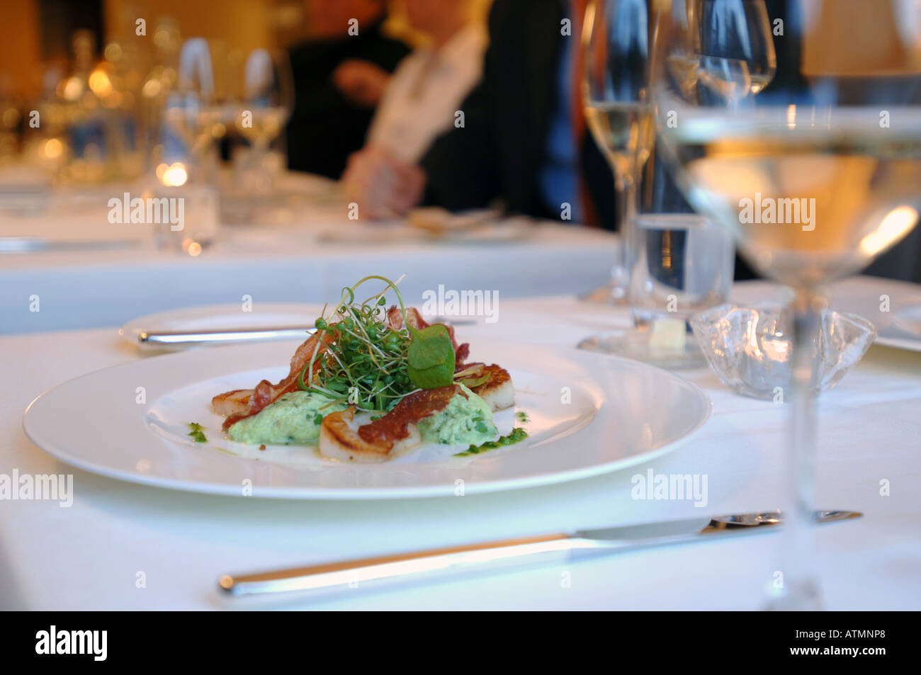 plate with food on a nicely set table in restaurant Stock Photo - Alamy