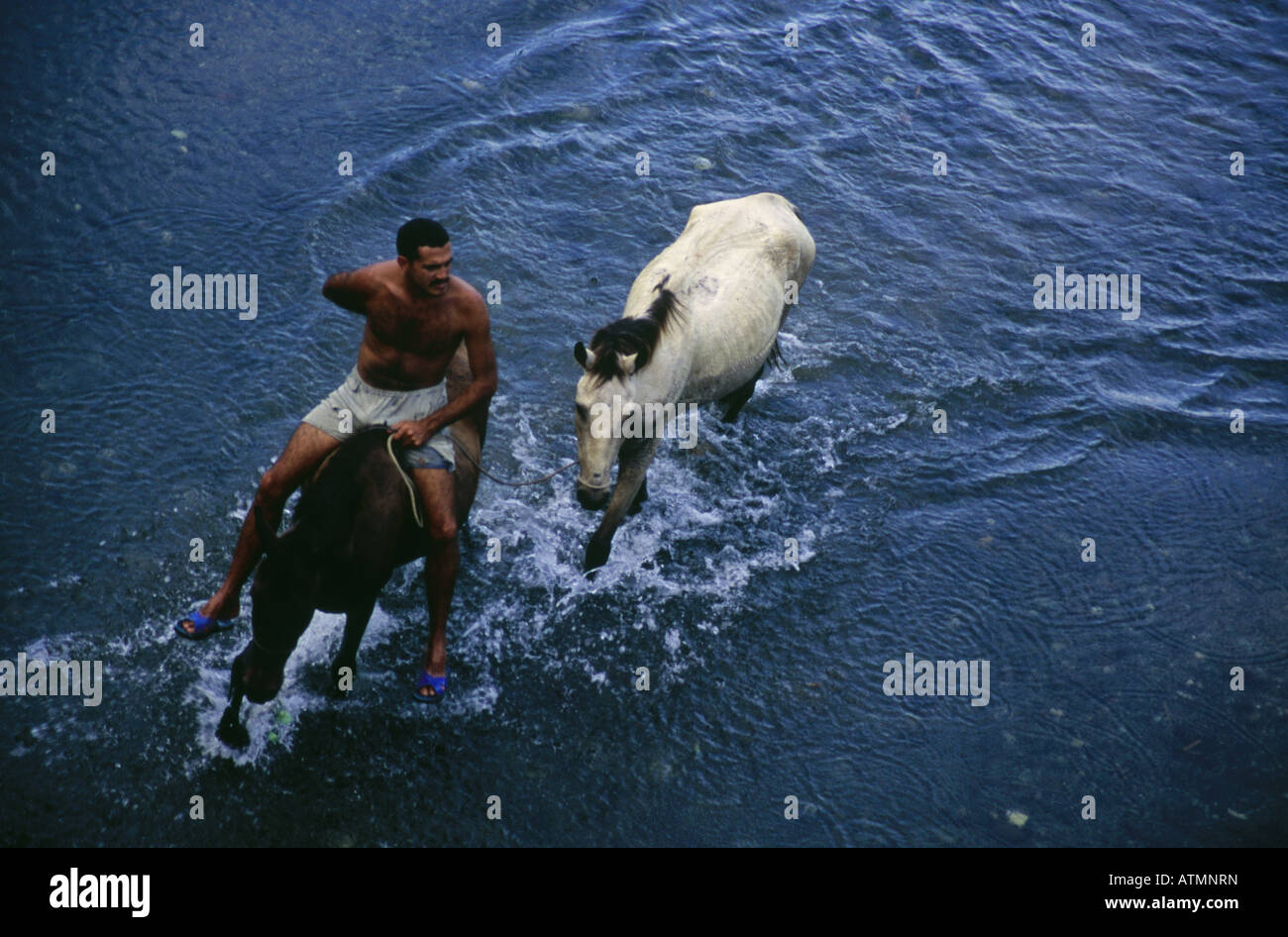 River Blue shallow water View from above Man riding horse bareback ...