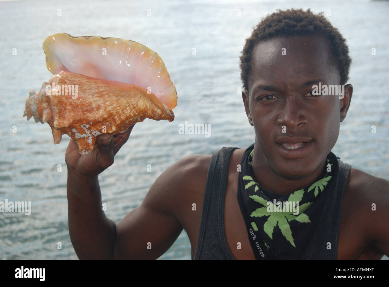 Shell seller in St Lucia, Caribbean Stock Photo - Alamy