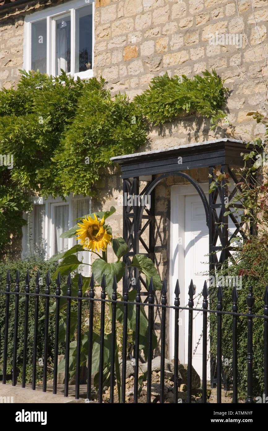 England railings hi-res stock photography and images - Alamy
