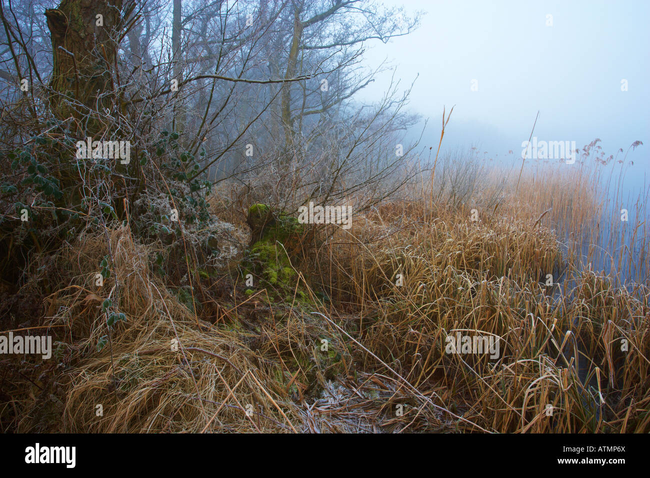Ormesby little broad hi-res stock photography and images - Alamy