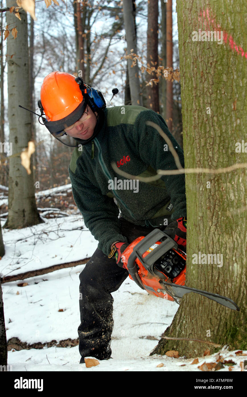wood-cutter at work Stock Photo - Alamy