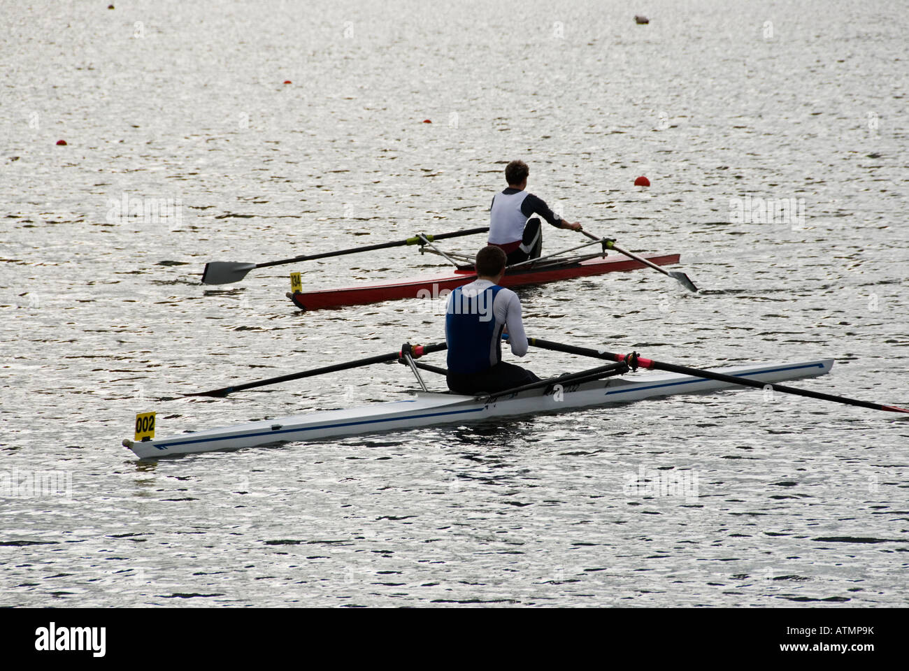 Row rower skull canoe oar hi-res stock photography and images - Alamy