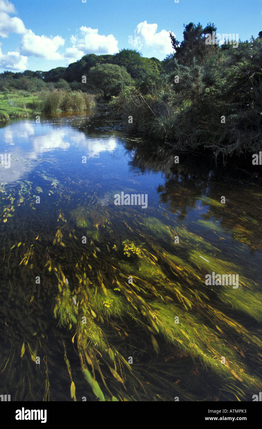 The De Lank River site of special scientific interest on Bodmin Moor ...