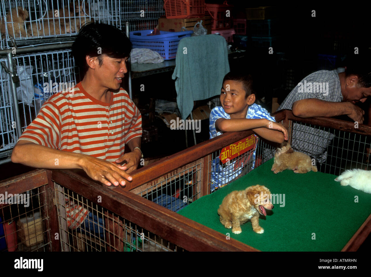 dog vendor, selling dogs, pet dog, pet dogs, puppy, puppies, puppy dog ...