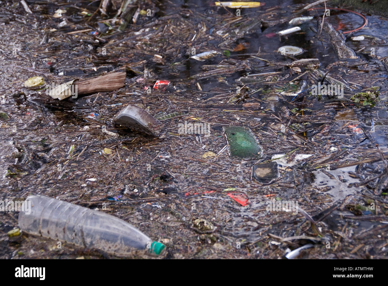 Rubbish washed up on a lake Stock Photo - Alamy