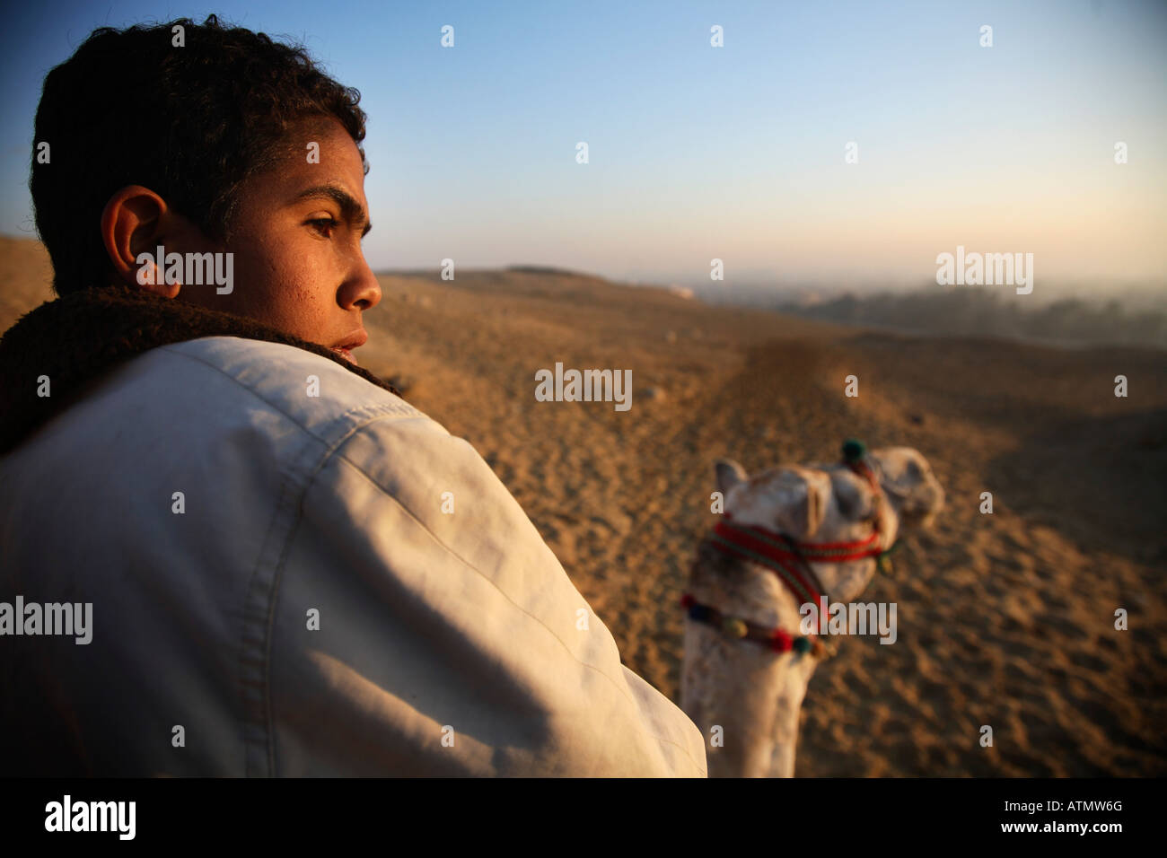Child labor egypt hi-res stock photography and images - Alamy