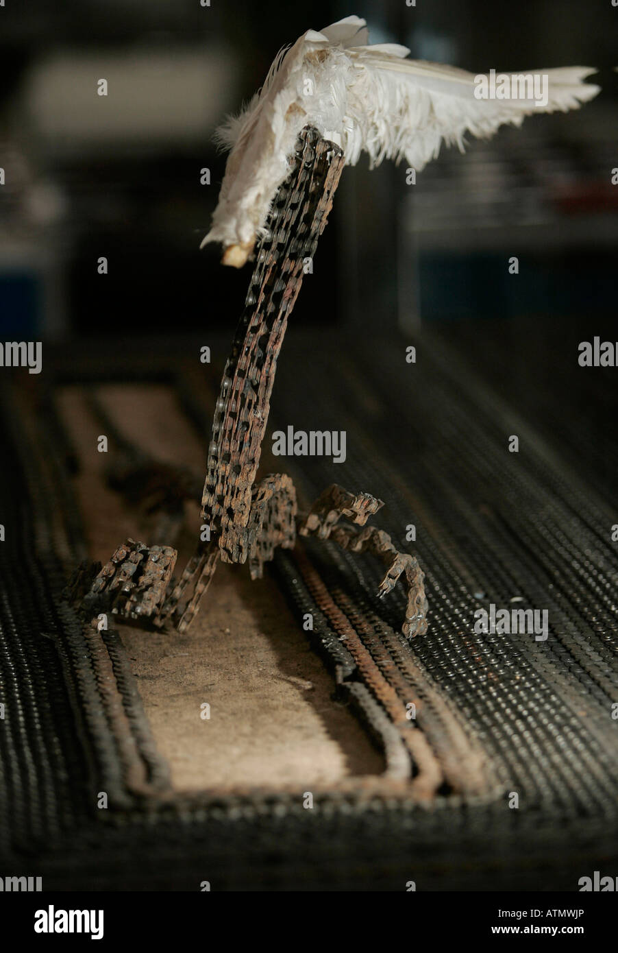 Strange artists studio hi-res stock photography and images - Alamy