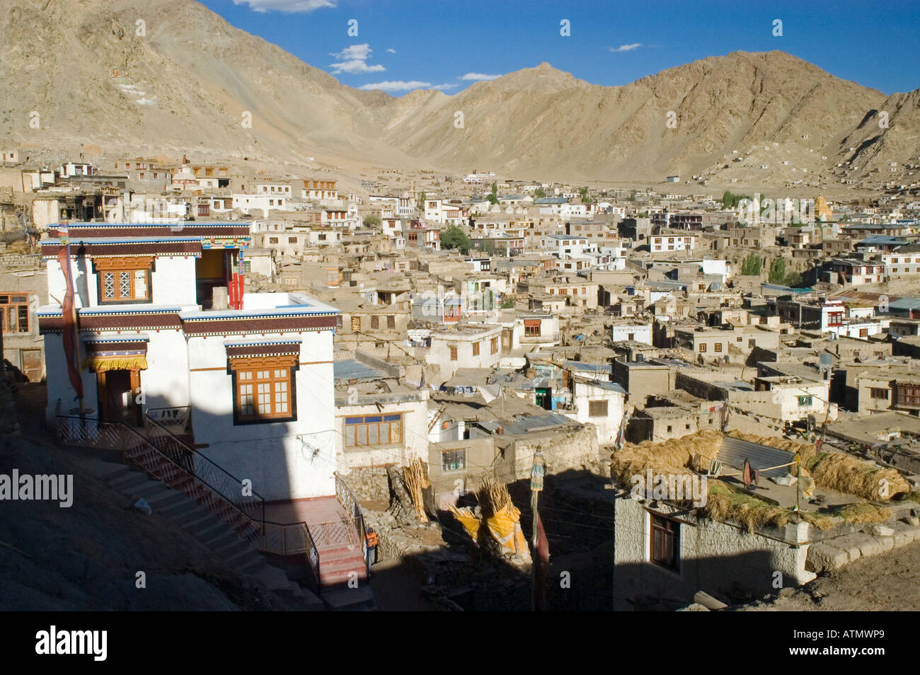 view over the historic center of Leh Indus valley Ladakh Jammu and ...