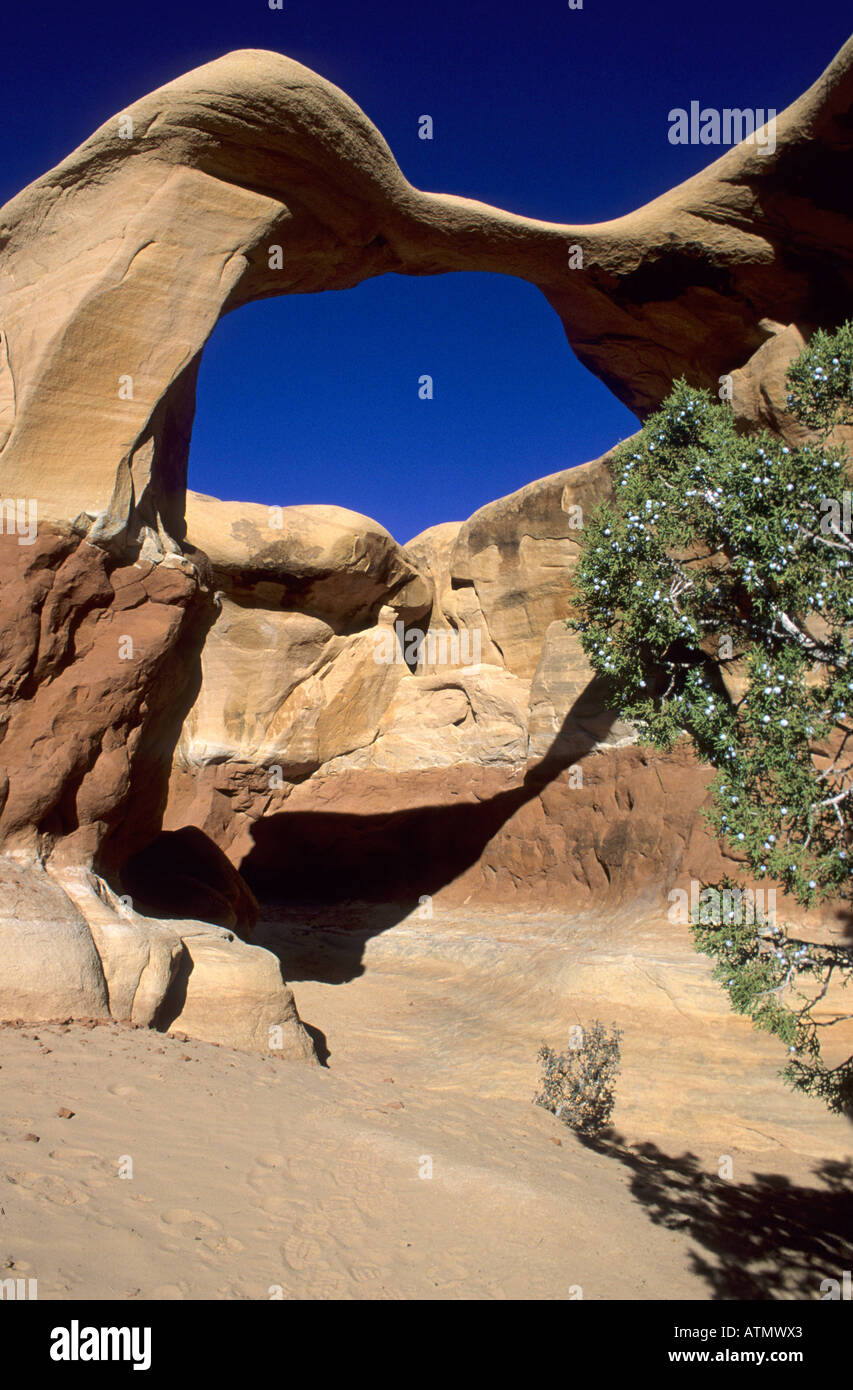 Metate Arch Devils Garden Grand Staircase Escalante National Monument ...