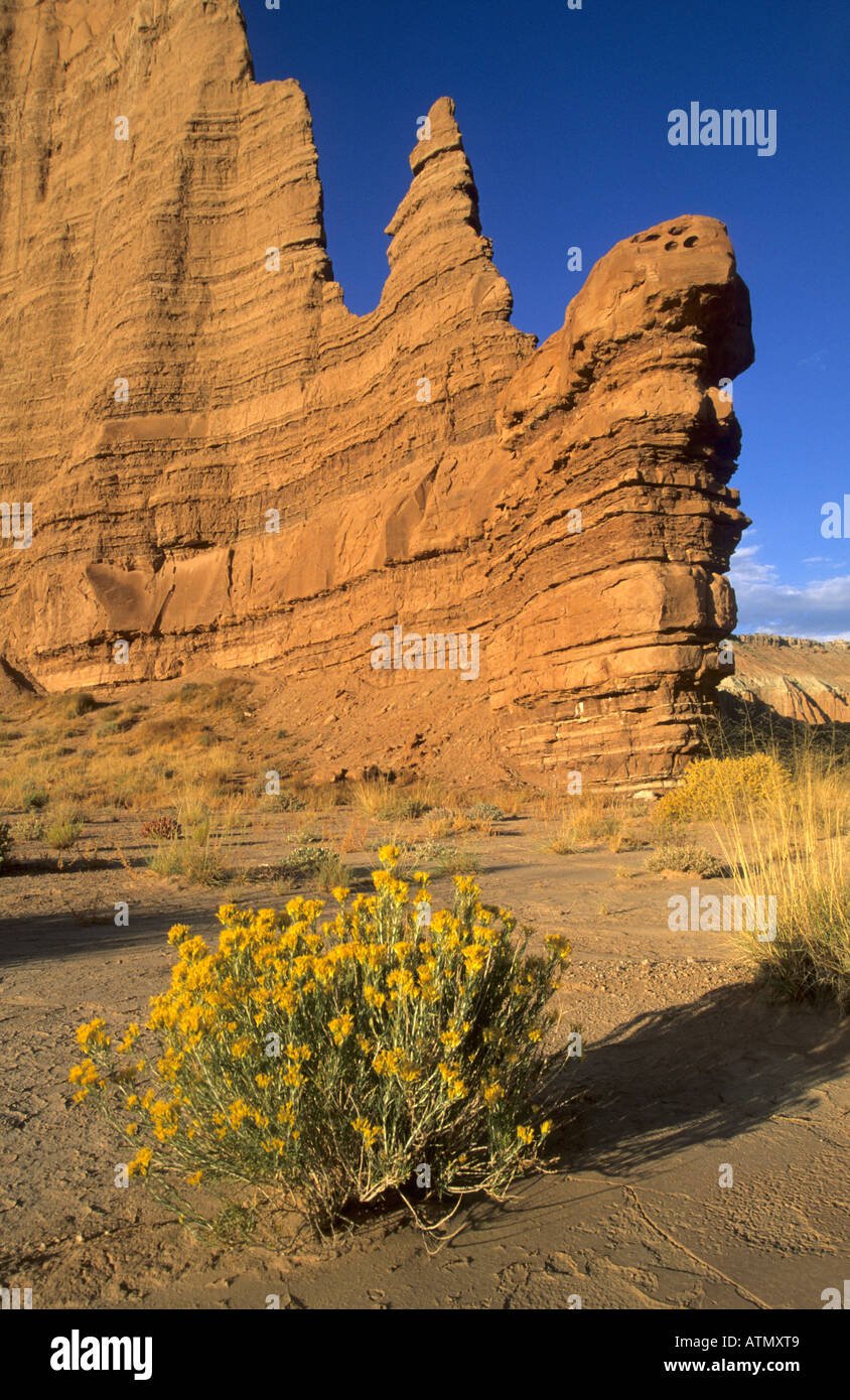 rock formation at Cathedral Valley Capitol Reef National Park Utah USA ...