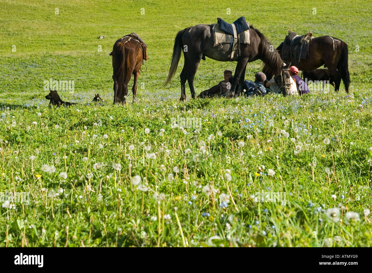kirgis riders sitting on a meadow Tian Shan Mountains Kyrgyzstan Stock ...