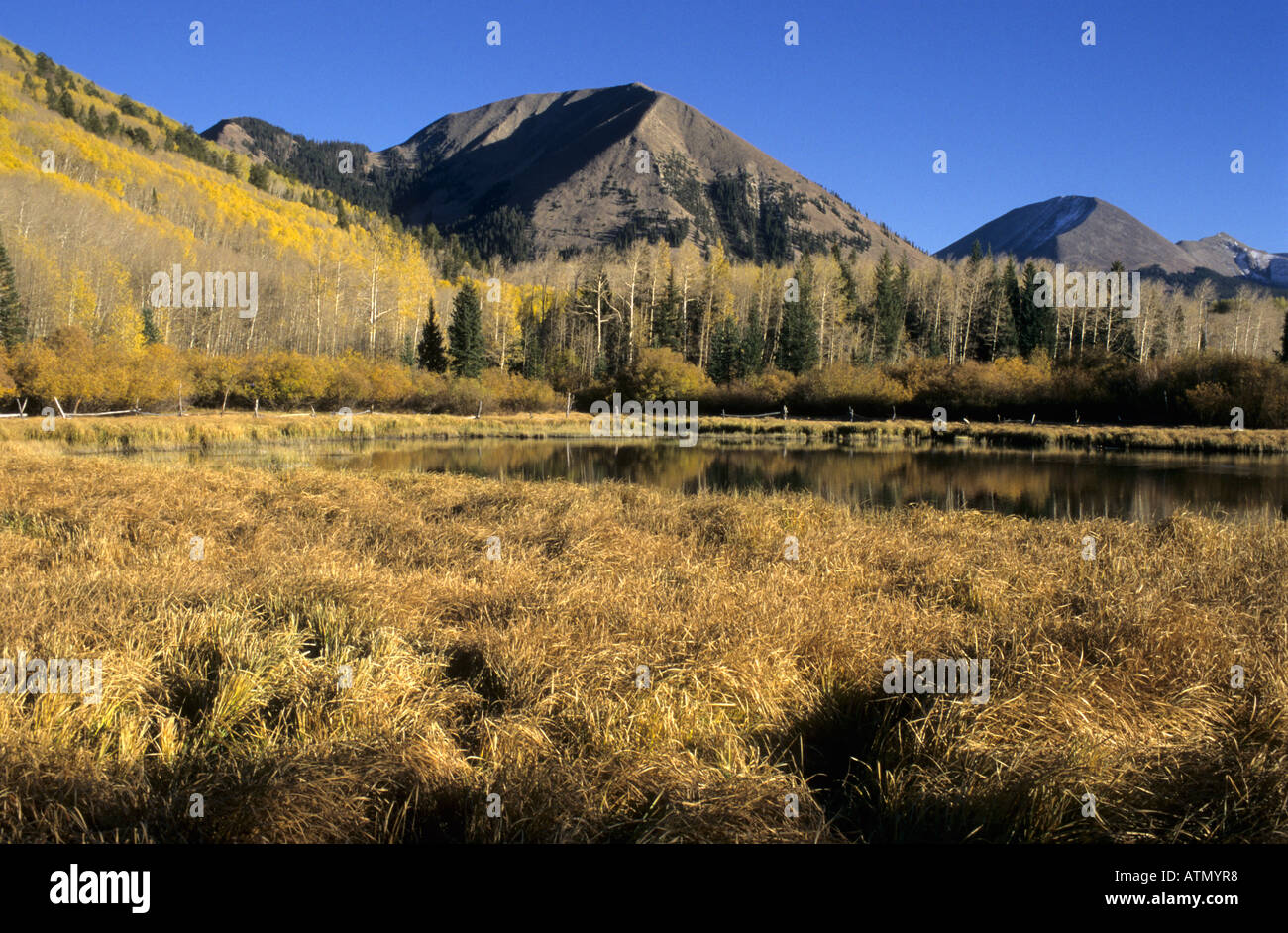 fall at Warner Lake La Sal Mountains near Moab Utah USA Stock Photo - Alamy