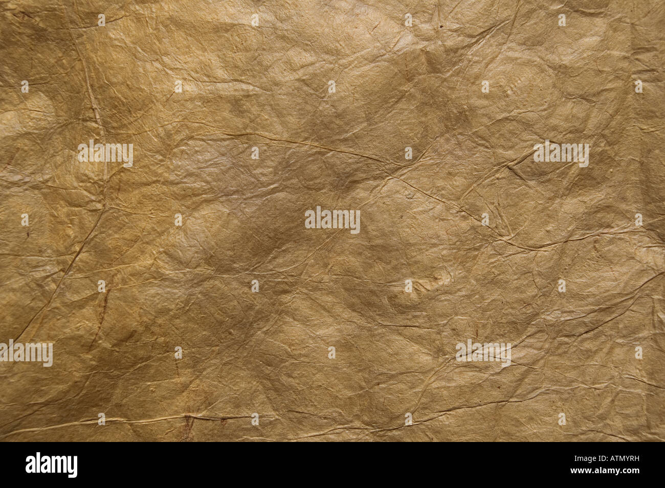 texture of parchment Stock Photo - Alamy
