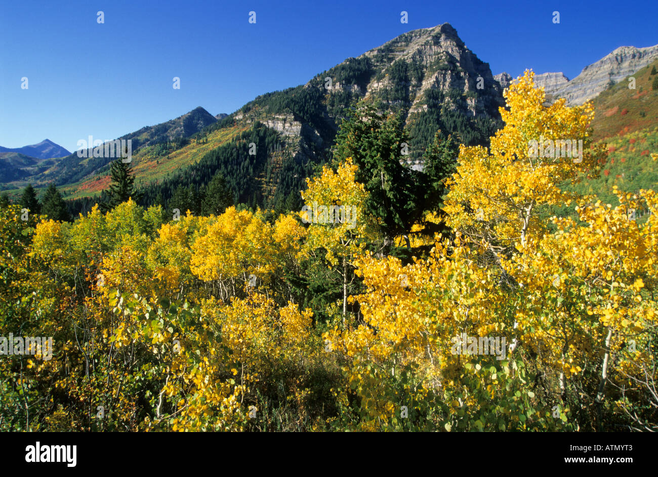 indian summer at Mount Timpanogos Wasatch Range Utah USA Stock Photo ...