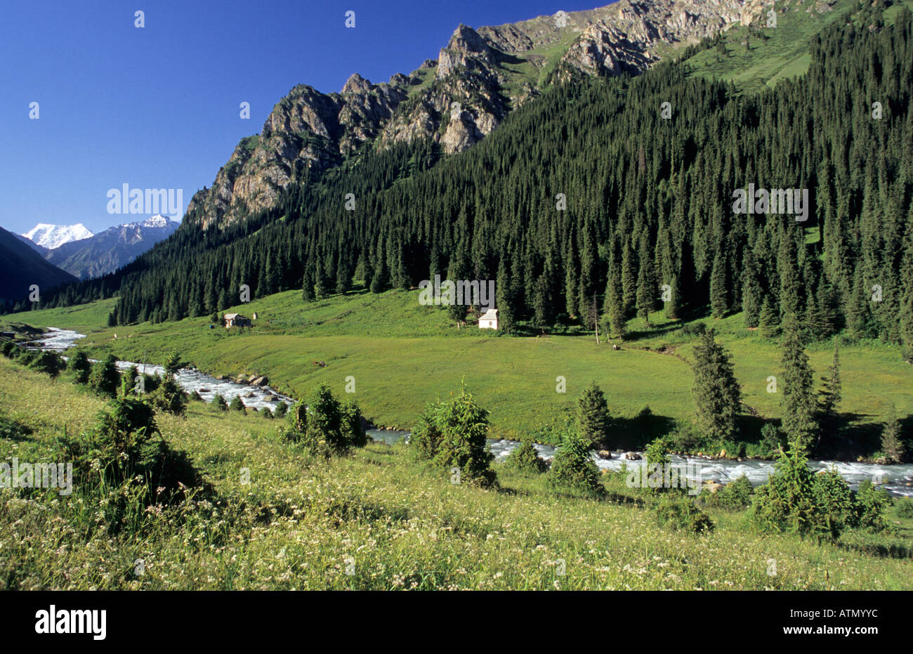 Altyn Arashan valley with Arashan river Terskey Alatau Mountains Tian ...