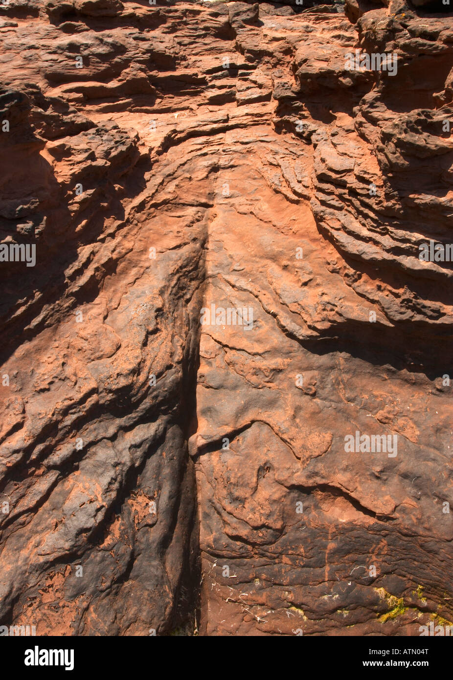 Close Up Detail of Rock Face Stock Photo - Alamy