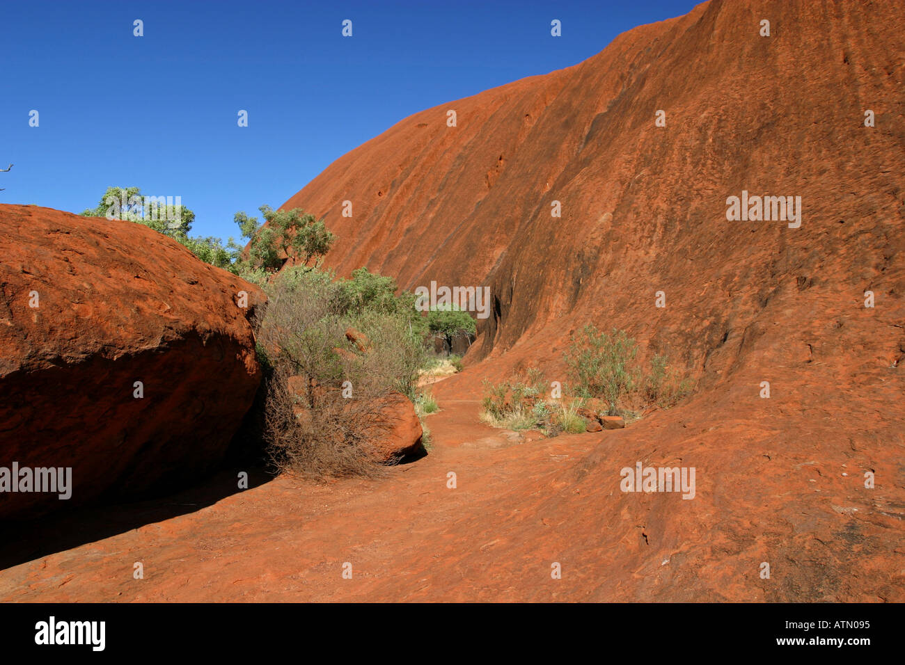 Popular circular walking track around the famous Ayers Rock Uluru in ...