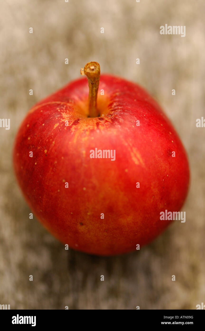 Single red apple Stock Photo - Alamy