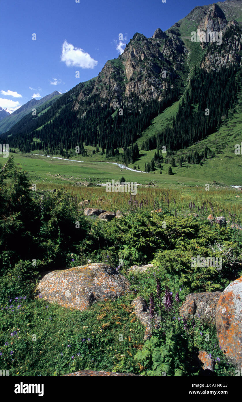 Altyn Arashan valley with Arashan river Terskey Alatau Mountains Tian ...