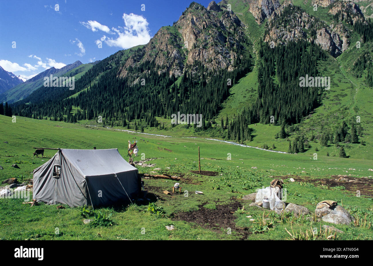 Altyn Arashan valley with Arashan river Terskey Alatau Mountains Tian ...