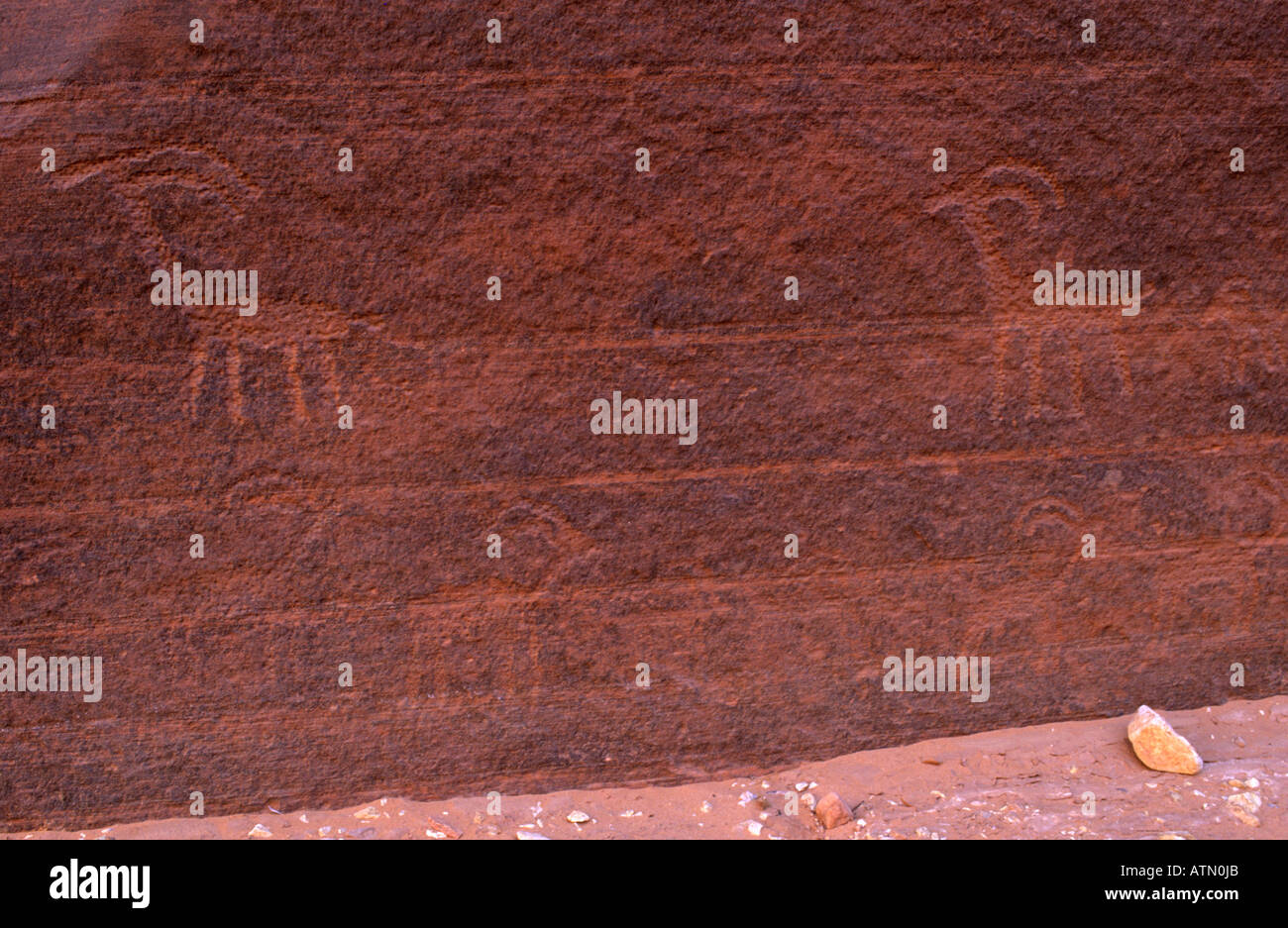 indian or native american petroglyphs at Buckskin Gulch Vermillion ...