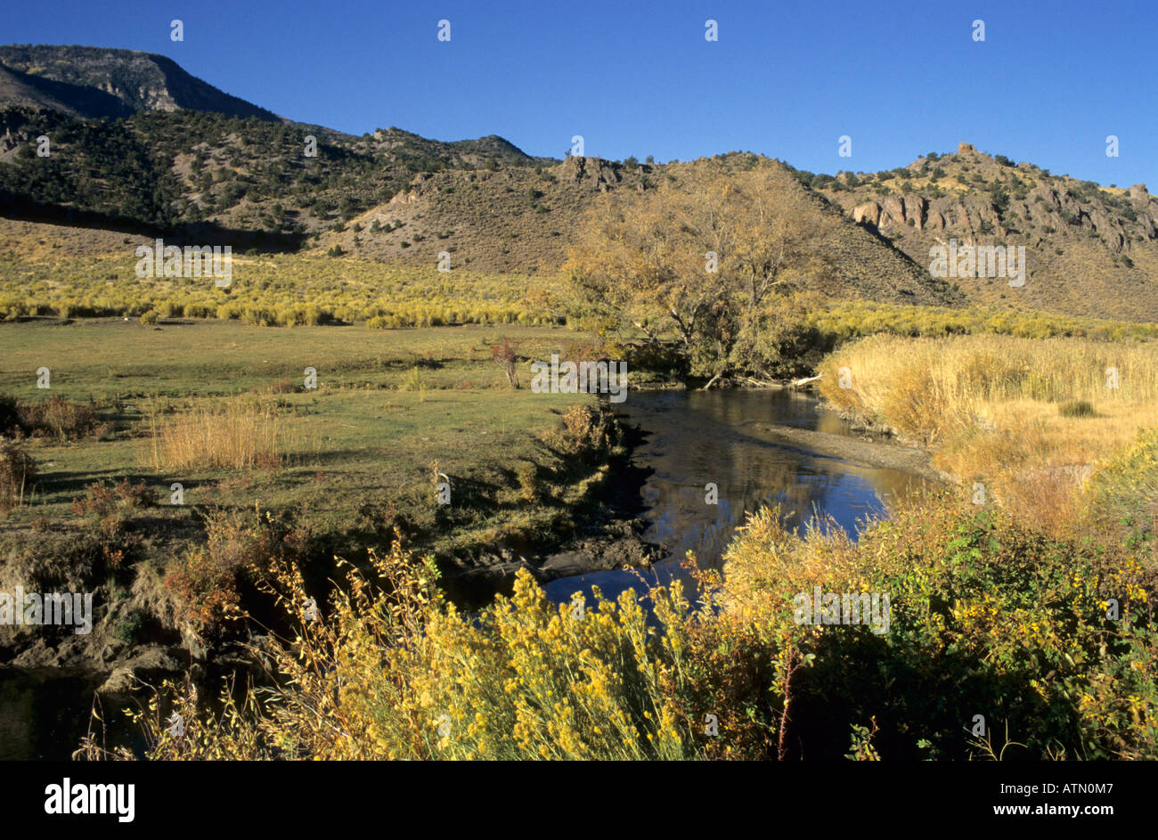 Sevier canyon hi-res stock photography and images - Alamy