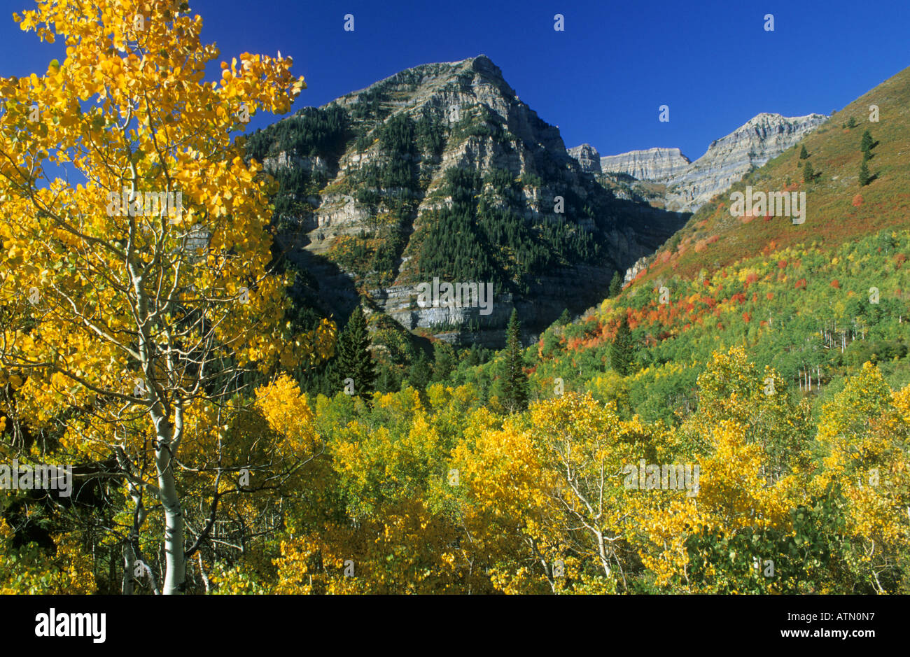 indian summer at Mount Timpanogos Wasatch Range Utah USA Stock Photo ...