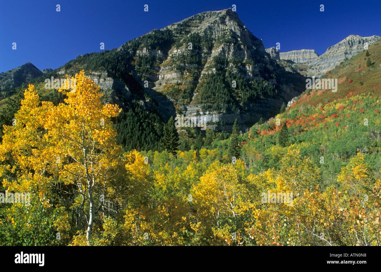 Mount Timpanogos Summer