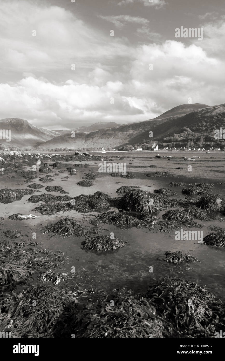 Loch Ranza Ferry High Resolution Stock Photography and Images - Alamy