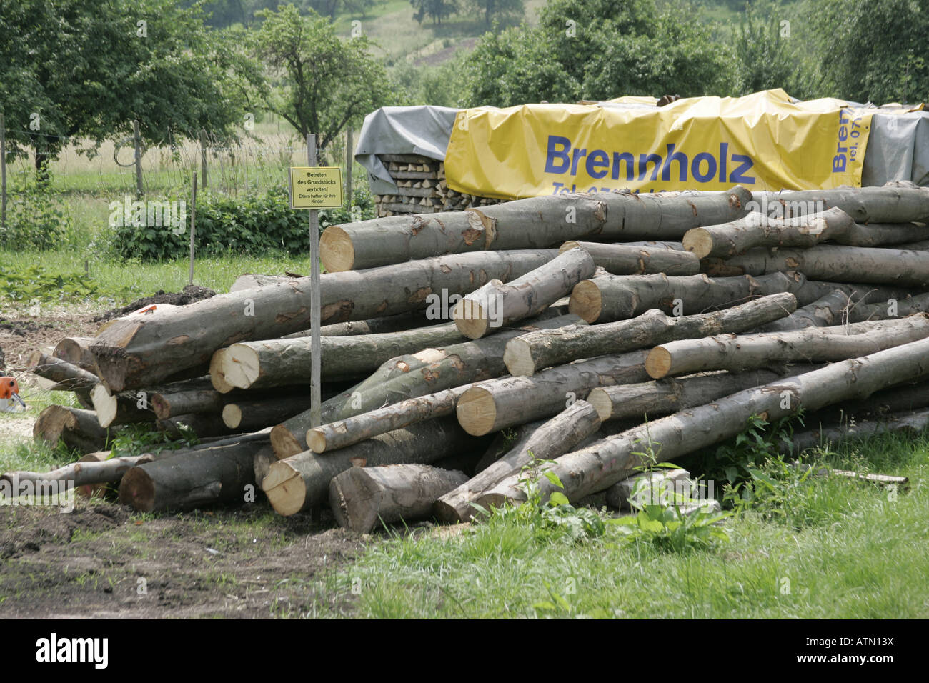 Stack of fire wood logs Stock Photo - Alamy