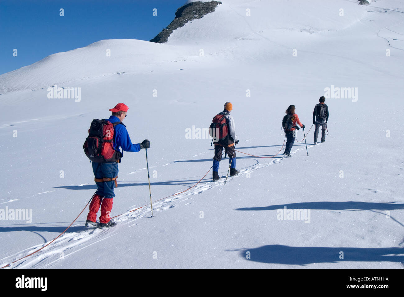 mountaineers hiking over a glacier towards Breithorn 4164 m Zermatt ...
